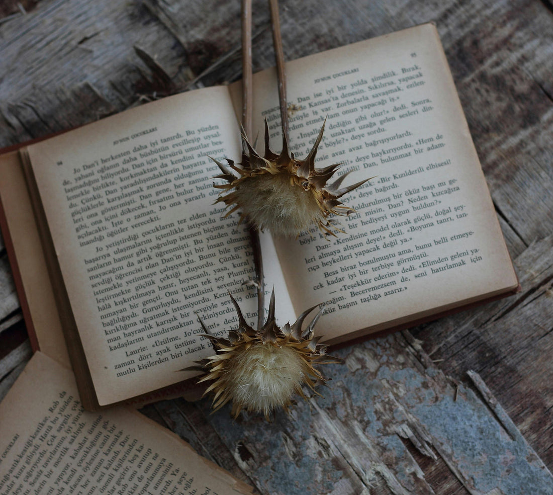 The Best Gothic Poetry of the Victorian Era – Goth Persona
