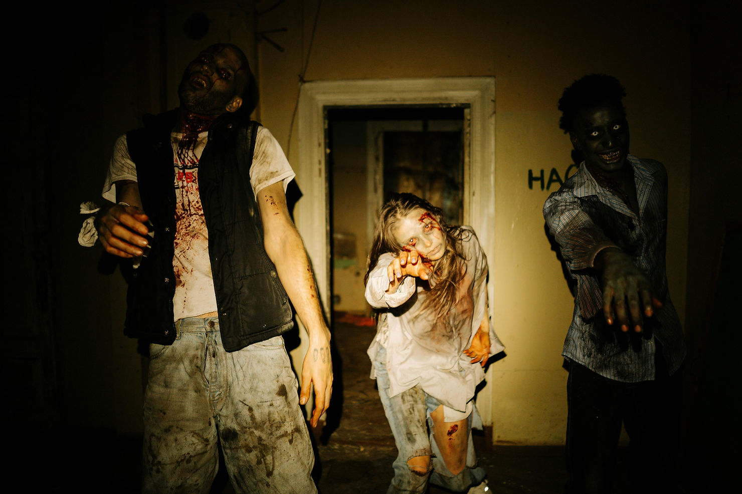 American Zombies: From Haitian Folklore to Pop Culture Horror – Goth ...